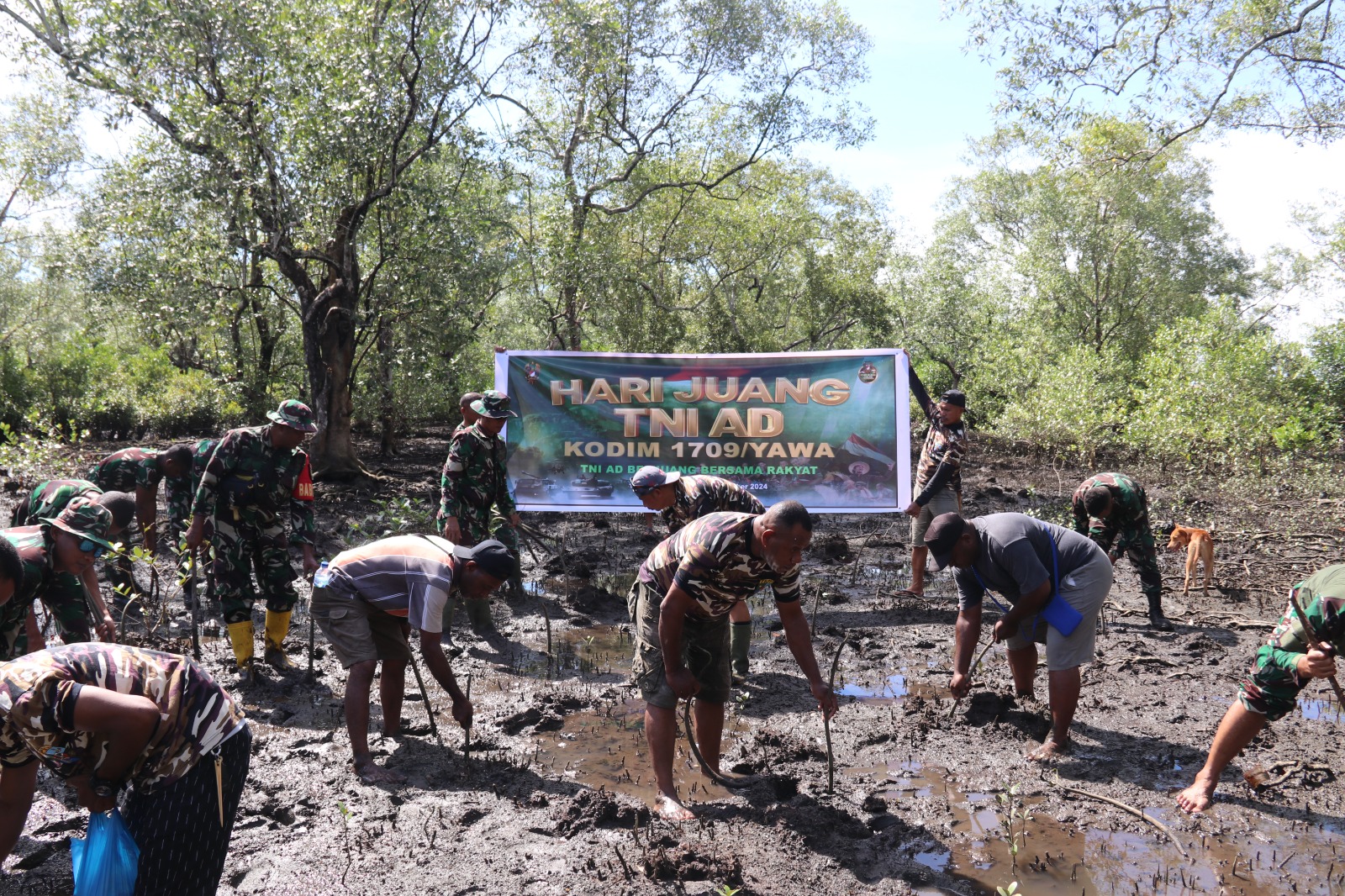 Kodim 1709/Yawa Bersama Warga Tanam Bibit Mangrove Di Menawi - MEPAGO.CO